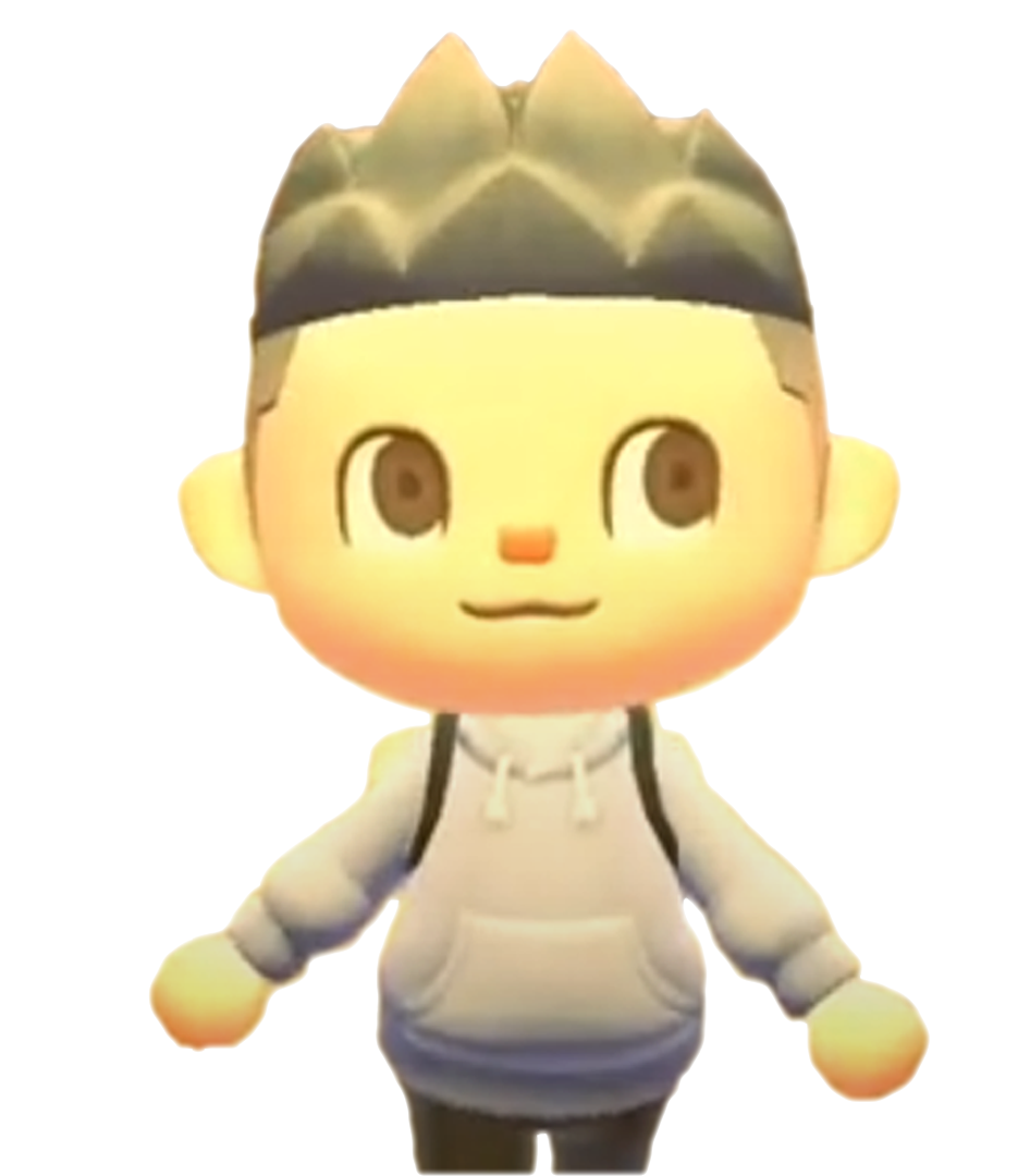 Team - Animal Crossing Infos